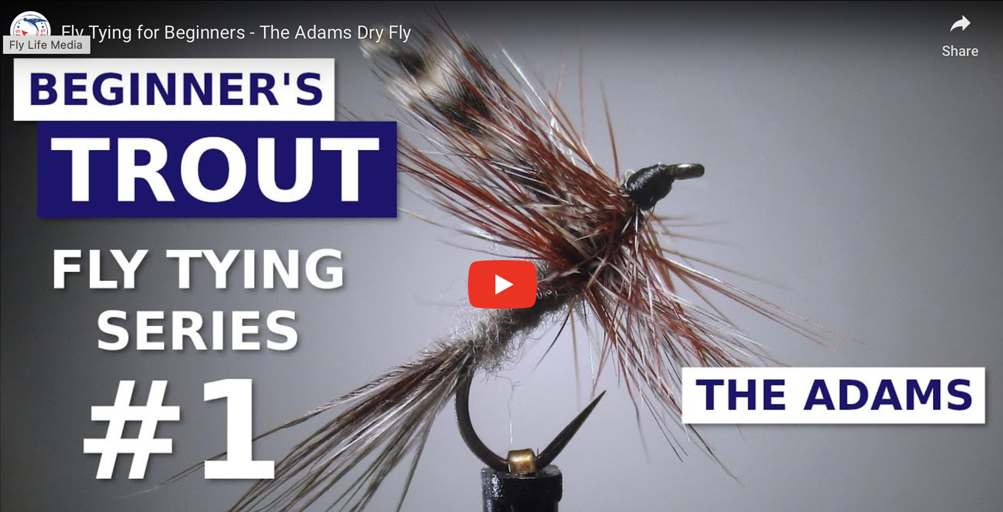 StepsbyStep Guide: Fly Tying for Beginners The Adams Dry Fly — Fly Life Media